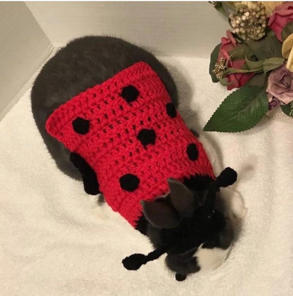 Crochet Pattern Rabbit Ladybug Sweater Rabbit Costume Pattern - Etsy