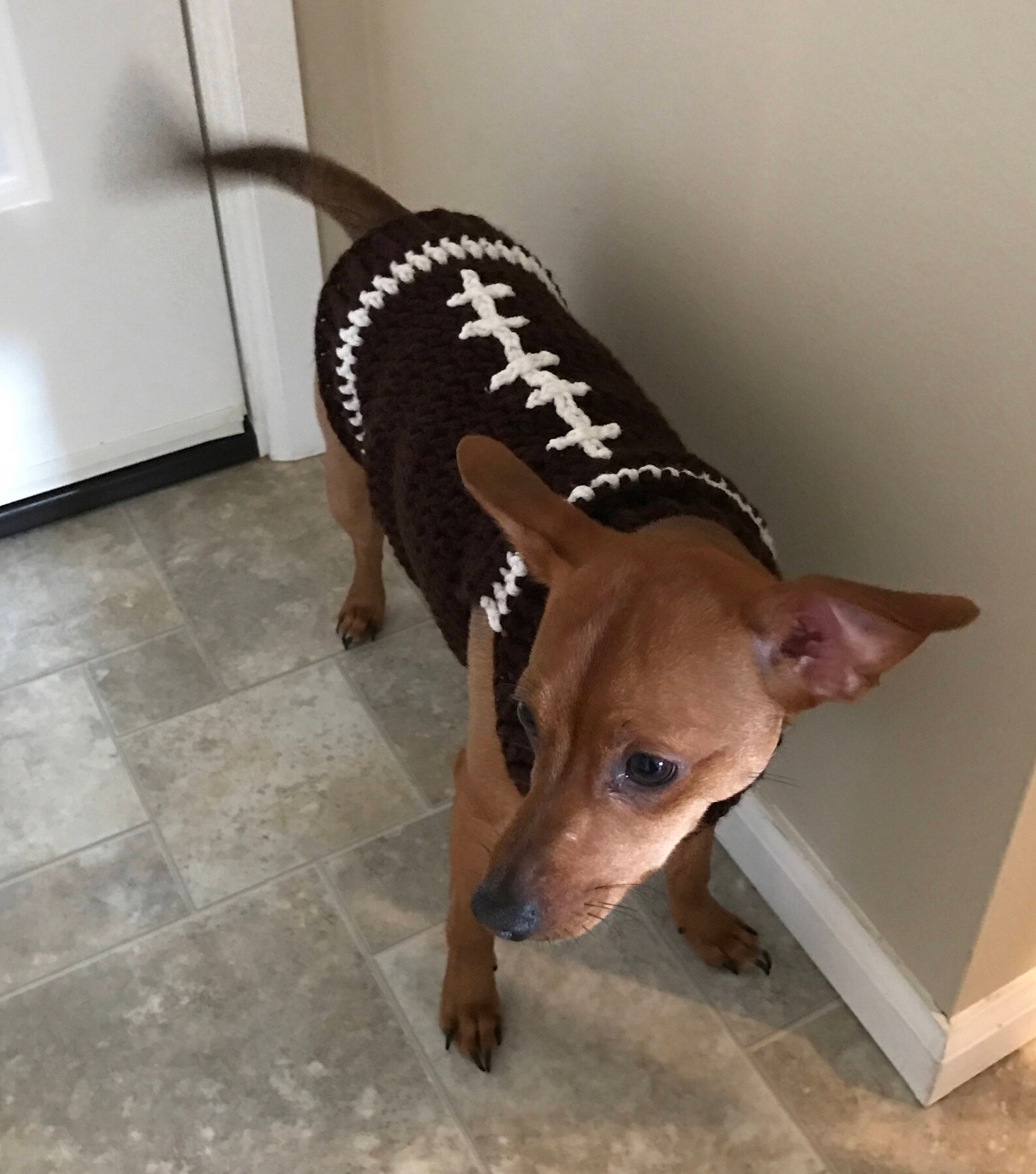 Cat Crochet Pattern Cat Football Costume Crochet Pattern - Etsy