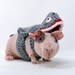 Crochet Pattern Shark Jaws Hoodie Costume for Squirrels, Guinea Pigs ...