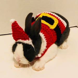 Rabbit Santa Clothes, Pet Santa Hat, Rabbit Santa Outfit, Pet Christmas ...