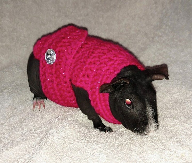 Crochet Pattern Guinea Pig Clothes, Guinea Pig Sweater Pattern, Skinny ...