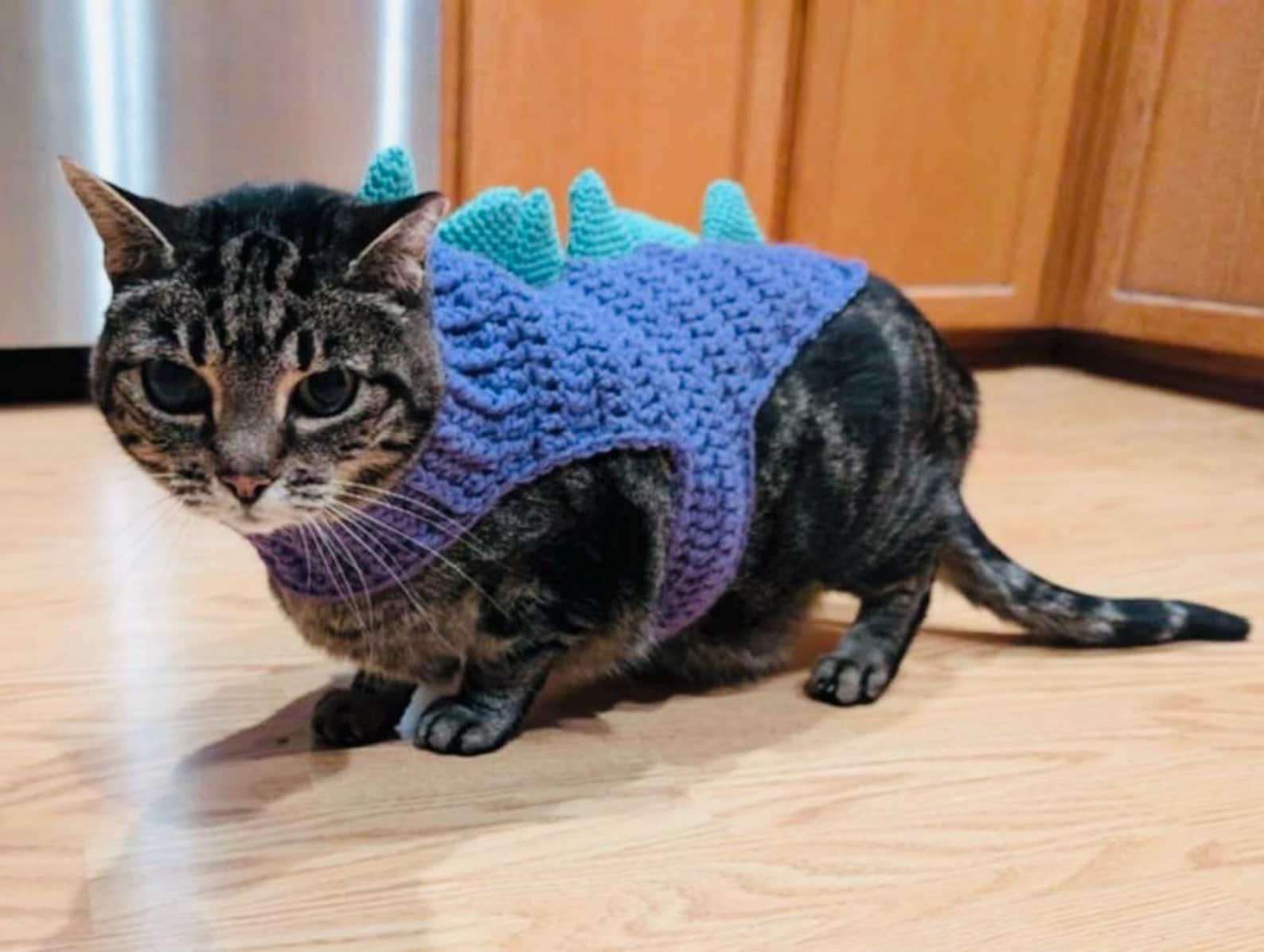 Cat Dinosaur Sweater Crochet Pattern, Dog Dinosaur Sweater, Small Pet ...