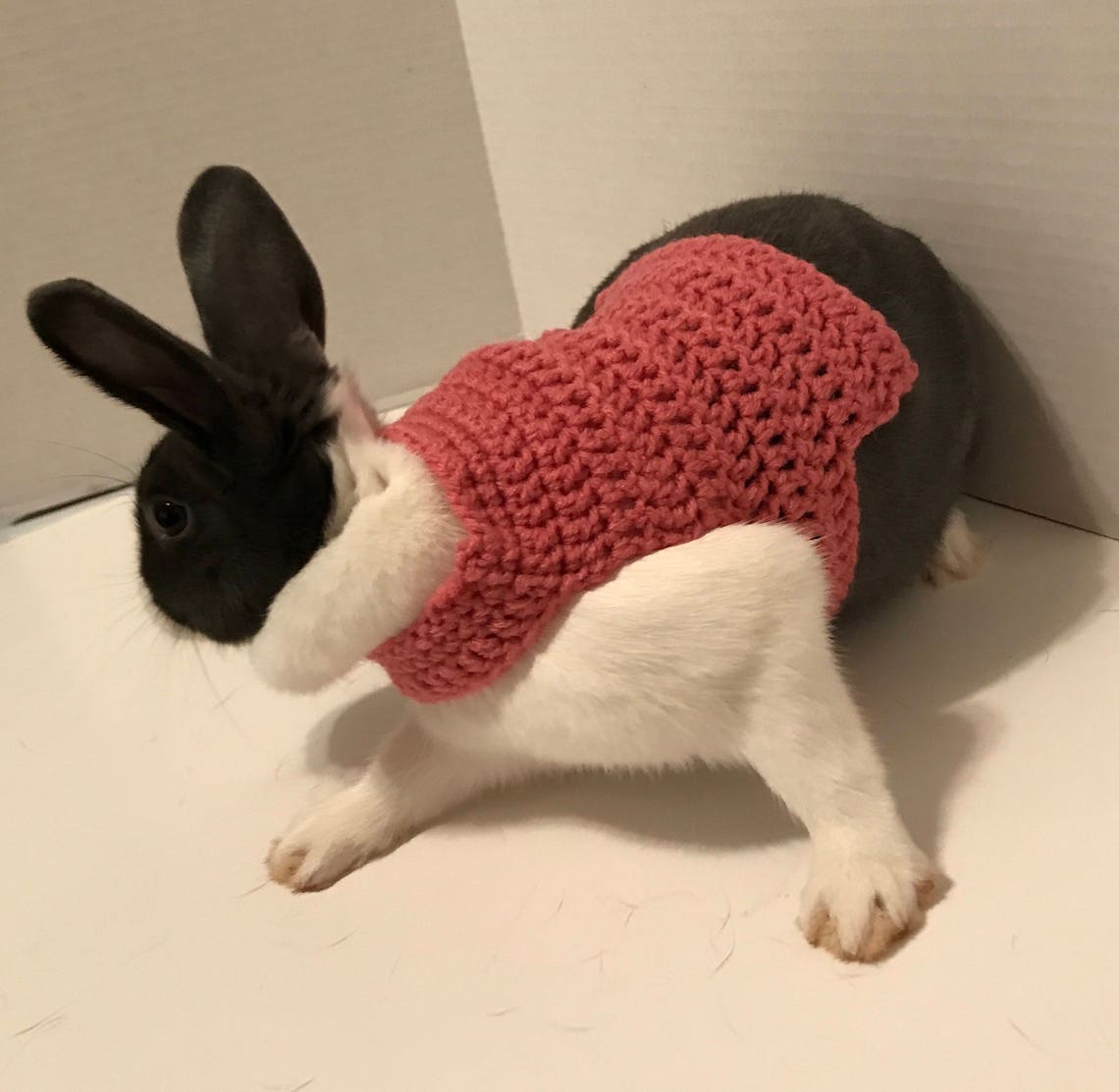 Rabbit Clothes Rabbit Sweater Rabbit Costume Sweater for | Etsy