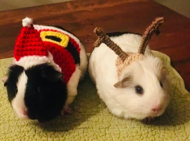 Crochet Pattern Guinea Pig Clothes & Costumes Collection- 13 Crochet ...