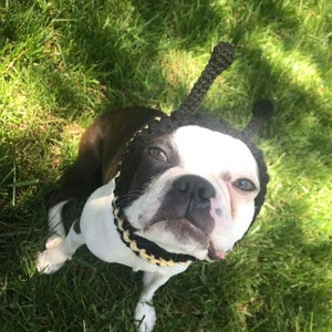 Crochet Pattern Dog Bumble Bee Snood Cowl - Etsy