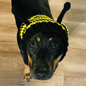 Crochet Pattern Dog Bumble Bee Snood Cowl - Etsy