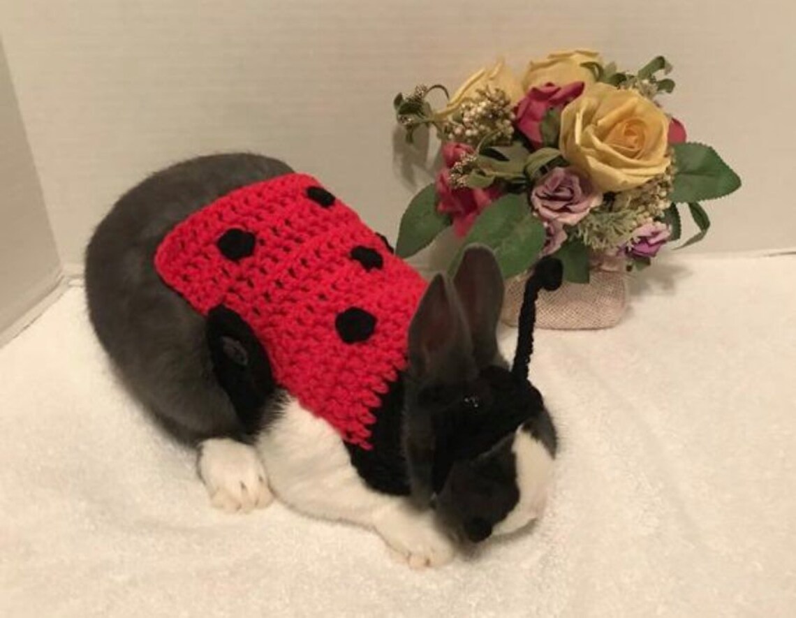 Crochet Pattern Rabbit Ladybug Sweater Rabbit Costume Pattern - Etsy