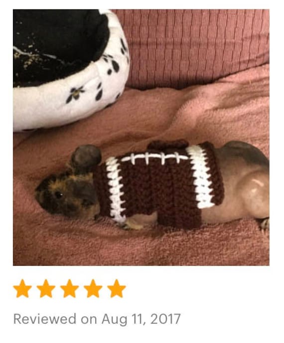 Guinea Pig Football Sweater Skinny Pig Sweater Guinea Pig