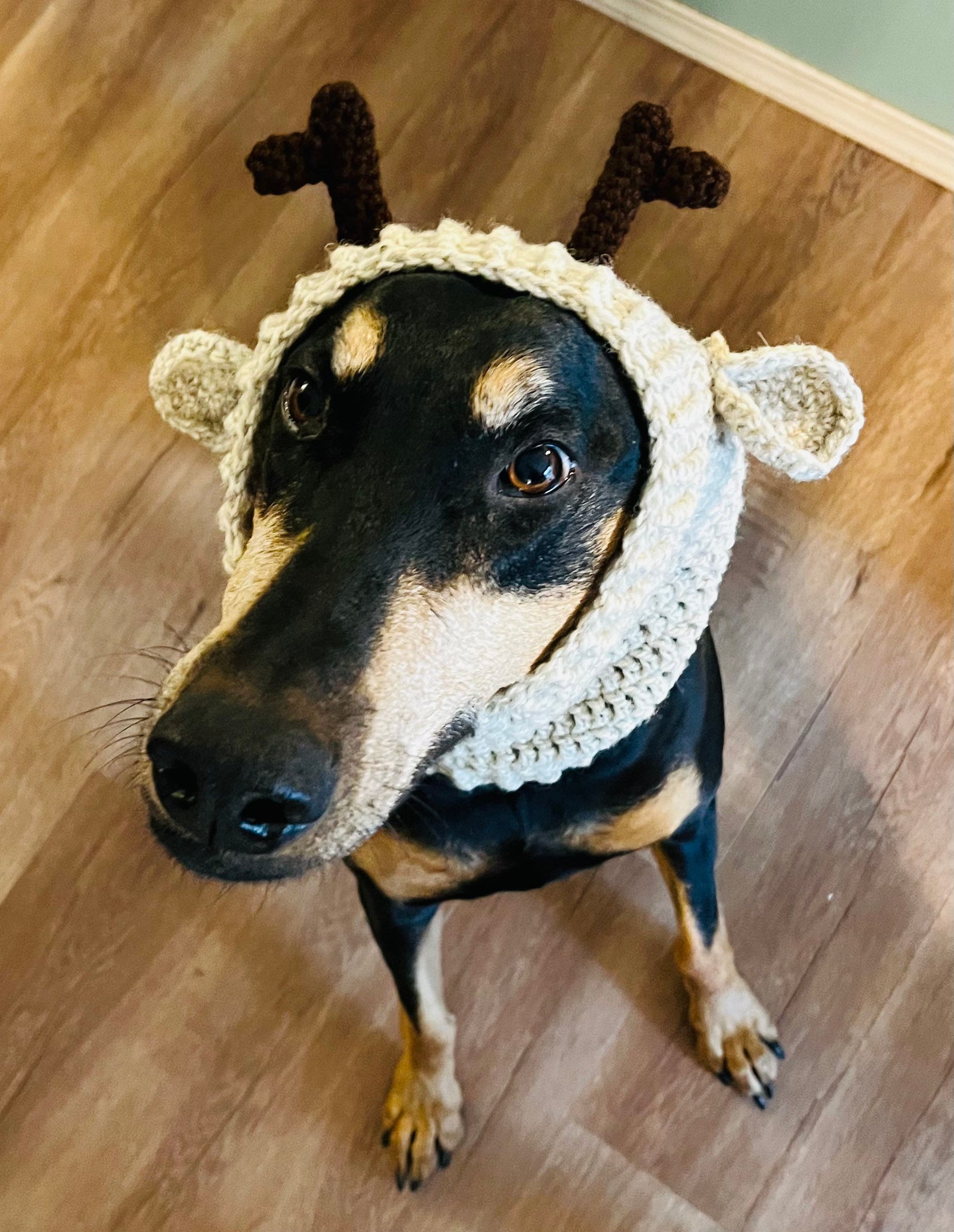 Crochet Pattern Dog Reindeer Antler Snood Scarf - Etsy