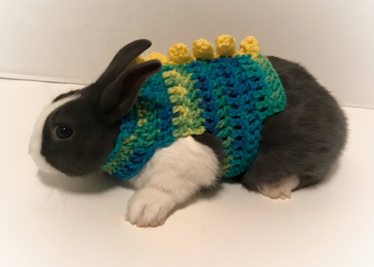 Rabbit Costume Dinosaur Costume Rabbit Clothes Rabbit - Etsy