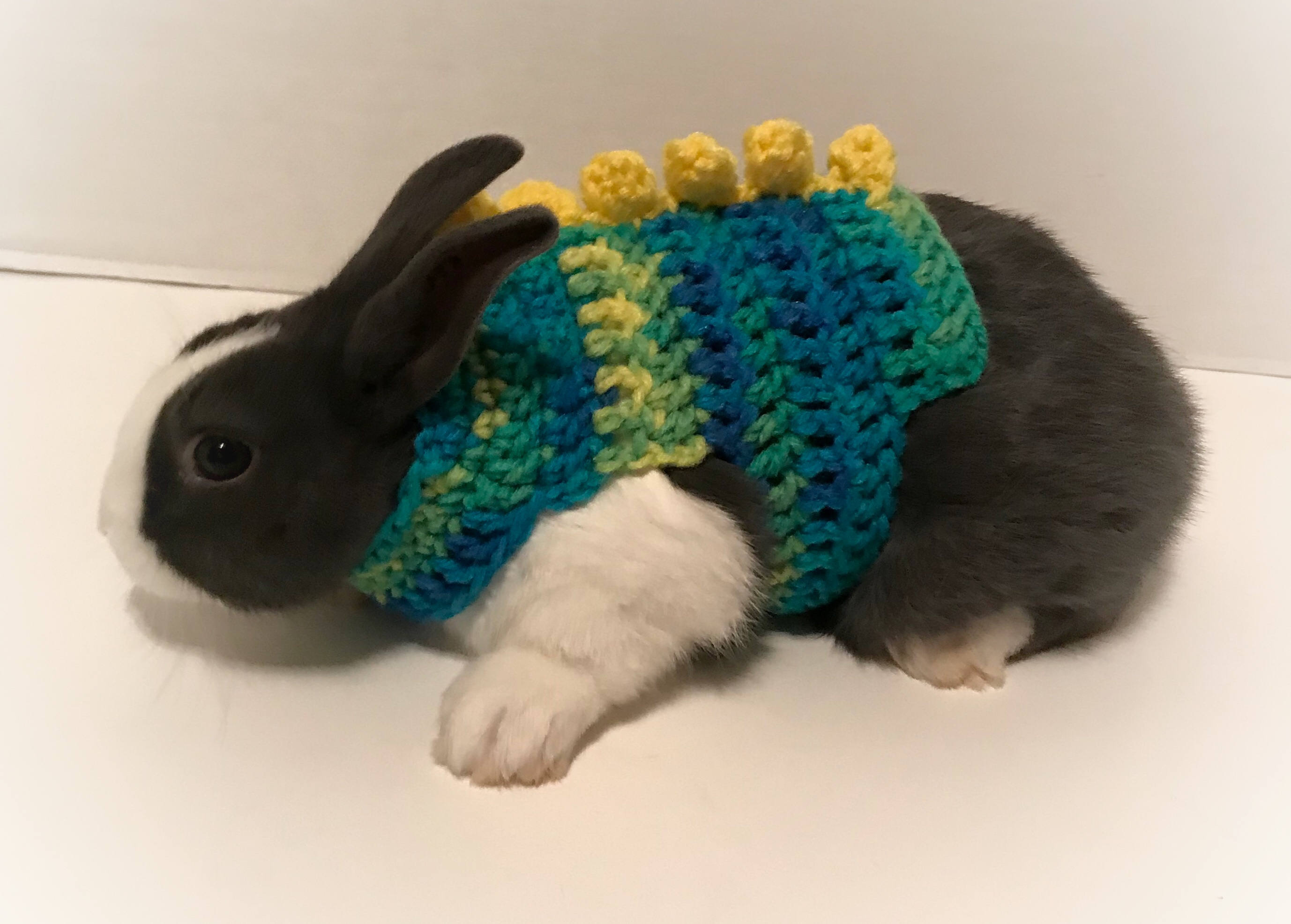 Crochet Pattern Rabbit Dinosaur Costume, Rabbit Clothes Pattern, Rabbit ...