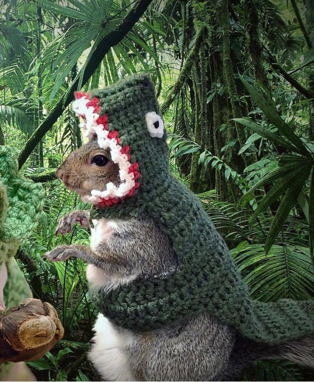 Crochet Pattern T-rex Hoodie Costume for Squirrels, Guinea Pigs, and ...