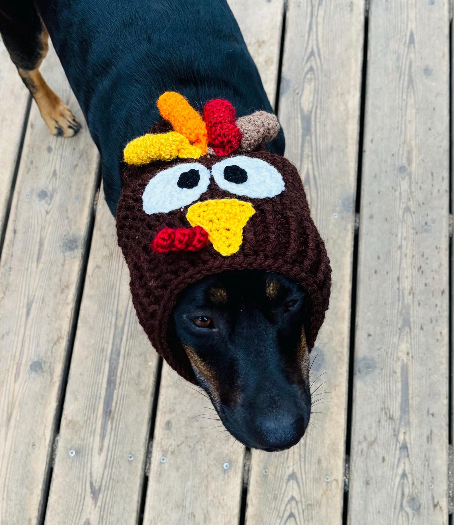 Crochet Pattern Dog Turkey Snood Cowl, Thanksgiving Dog Costume Pattern ...