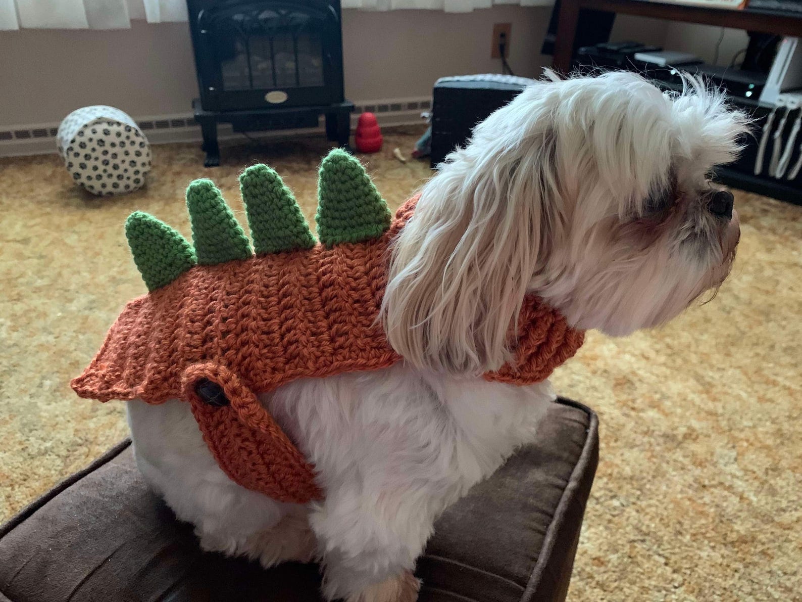 Cat Dinosaur Sweater Crochet Pattern, Dog Dinosaur Sweater, Small Pet ...