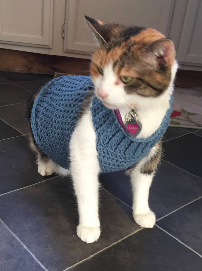 4 Crochet Patterns- Cat Sweater Collection- Shark Sweater, Dinosaur ...
