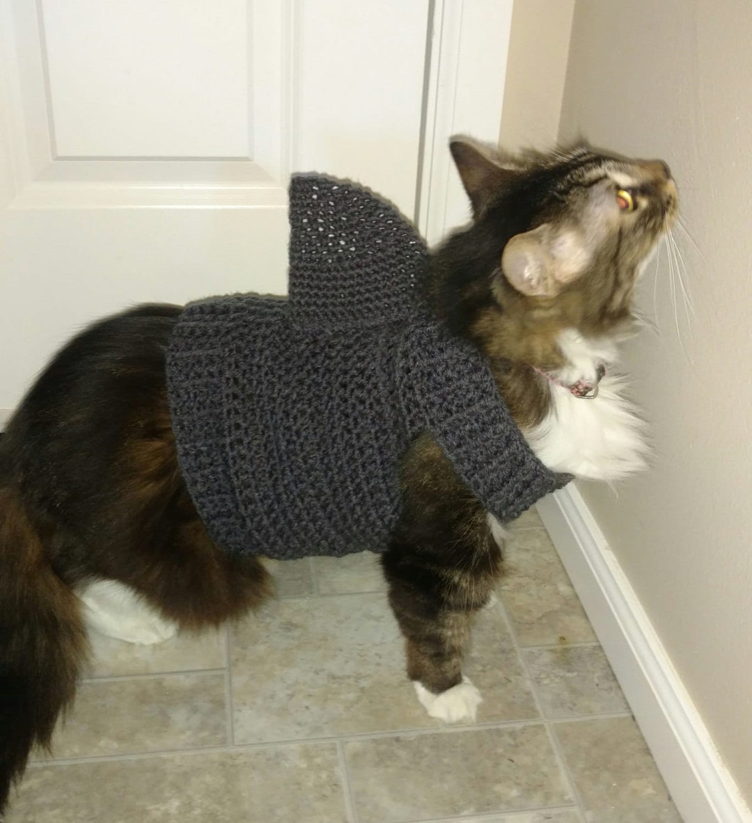 Cat Shark Sweater, Cat Shark Outfit, Cat Costume, Cat Sweater, Pet ...