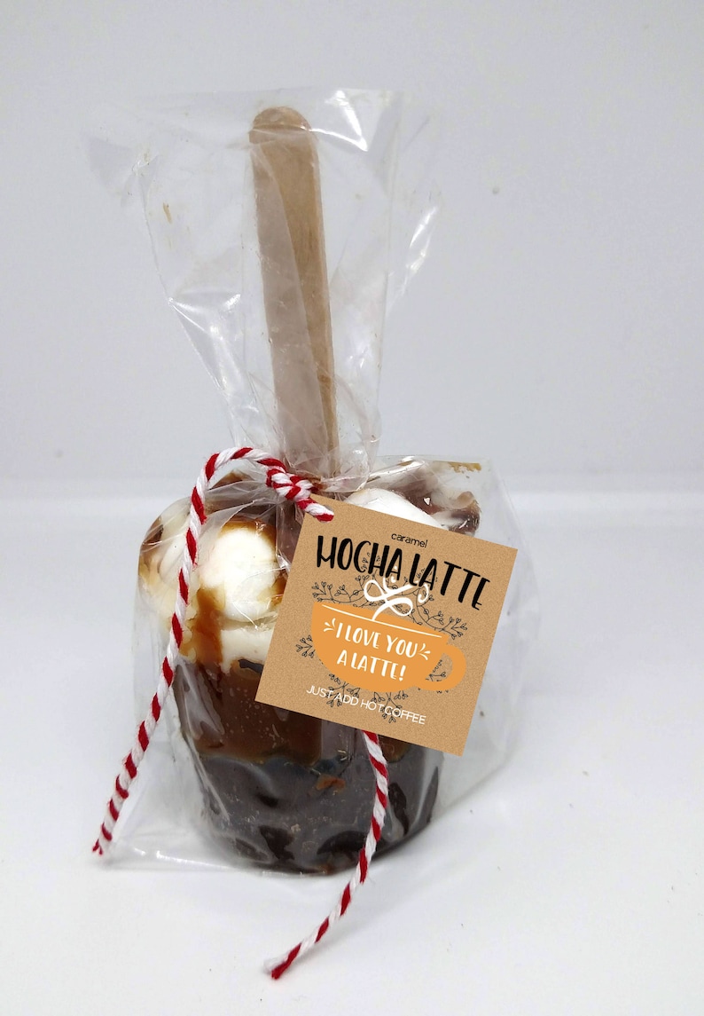 Mocha Latte Sticks-just Add COFFEE (variety Pack - 1 of Each Flavor) - Etsy