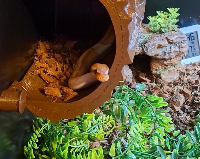 Custom Reptile Hide/snake Hide/ Gecko Hide/customizable - Etsy