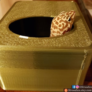 Stroodies Dig Box - Etsy