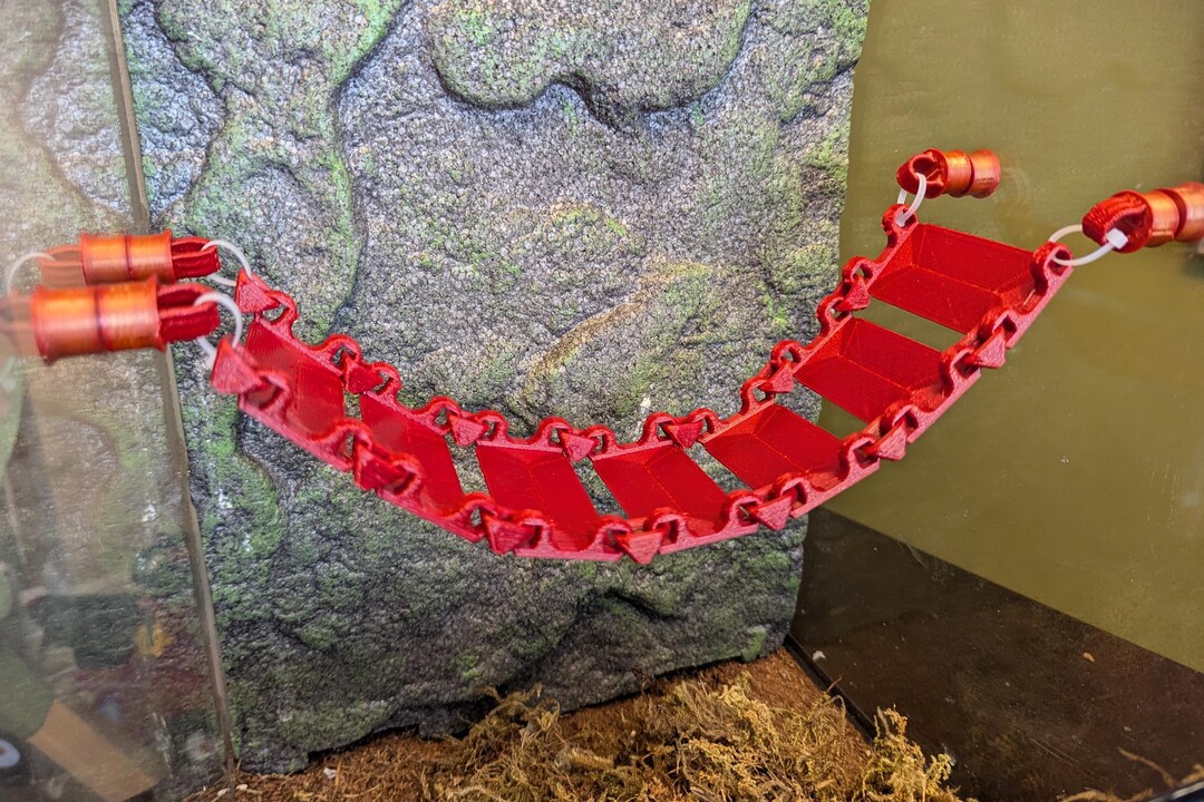 Stroodies Prototype: Gecko Bridge (magnetic or Suction Cup) - Etsy