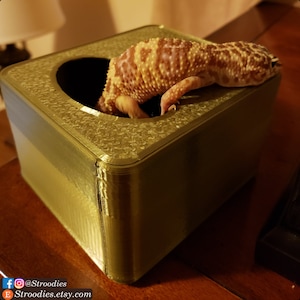 Stroodies Dig Box - Etsy