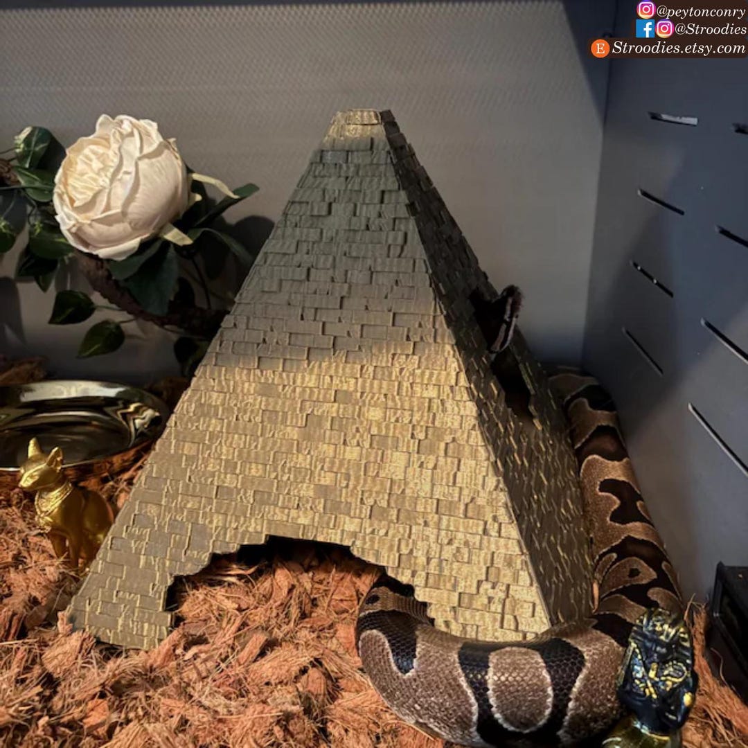 Stroodies GRANDE Great Pyramid Hide for (extra Large) Geckos and Snakes - Etsy