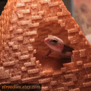 Stroodies Great Pyramid Hide for Leopard Geckos - Etsy