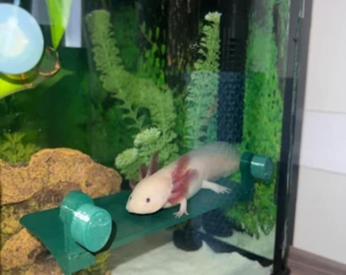 Axolotl Hide 3D Printed - Etsy