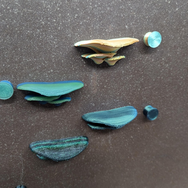 Magnetic Spider Ledges - Etsy