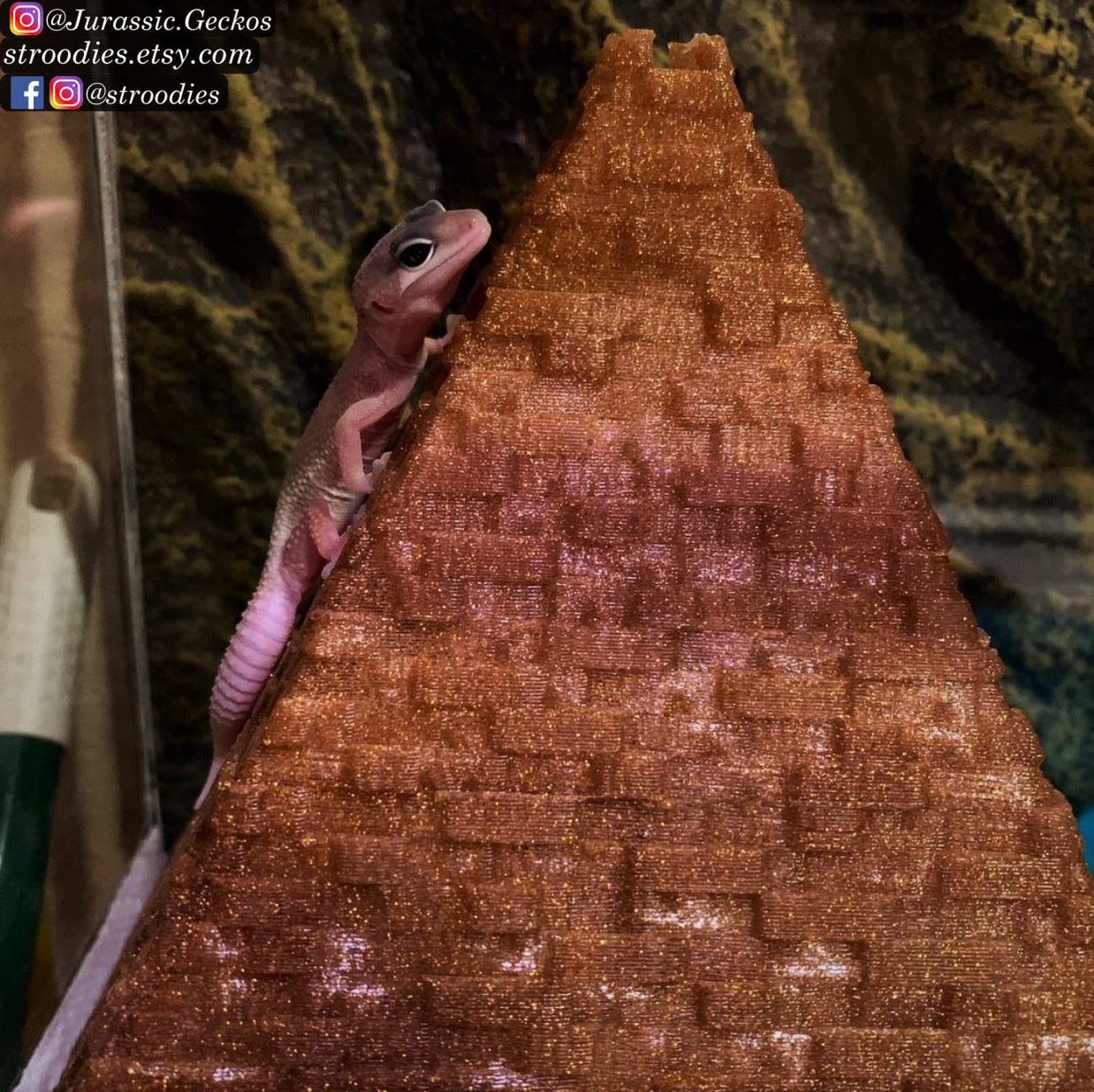 Stroodies Great Pyramid Hide for Leopard Geckos | Etsy