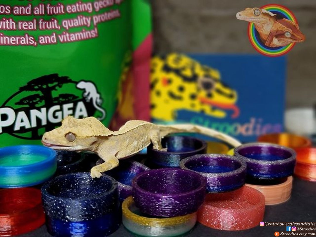 Stroodies Caps for Tiny Geckos (fits Microledge) - Etsy