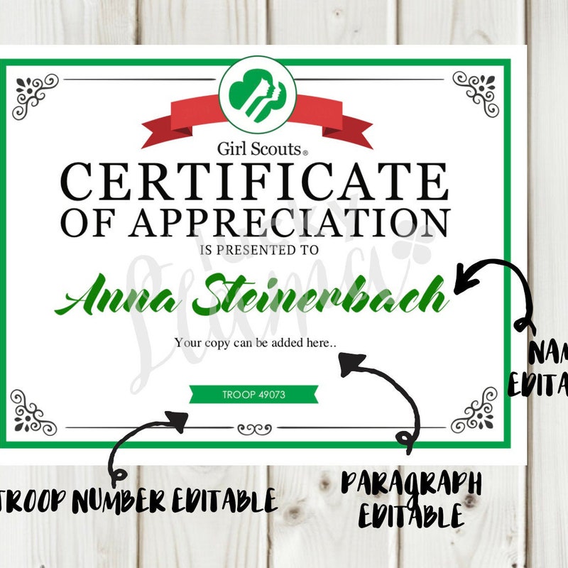 Girl Scout Leader - Etsy