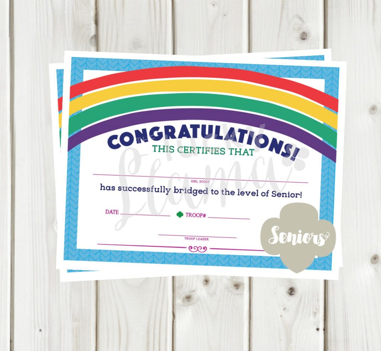 Girl Scouts Bridge to Seniors Certificate Instant Download - Etsy