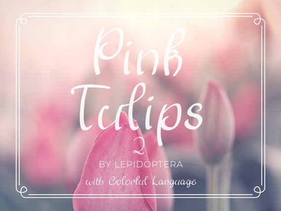 Cute Quirky Handwritten Font Digital Download Calligraphy - Etsy