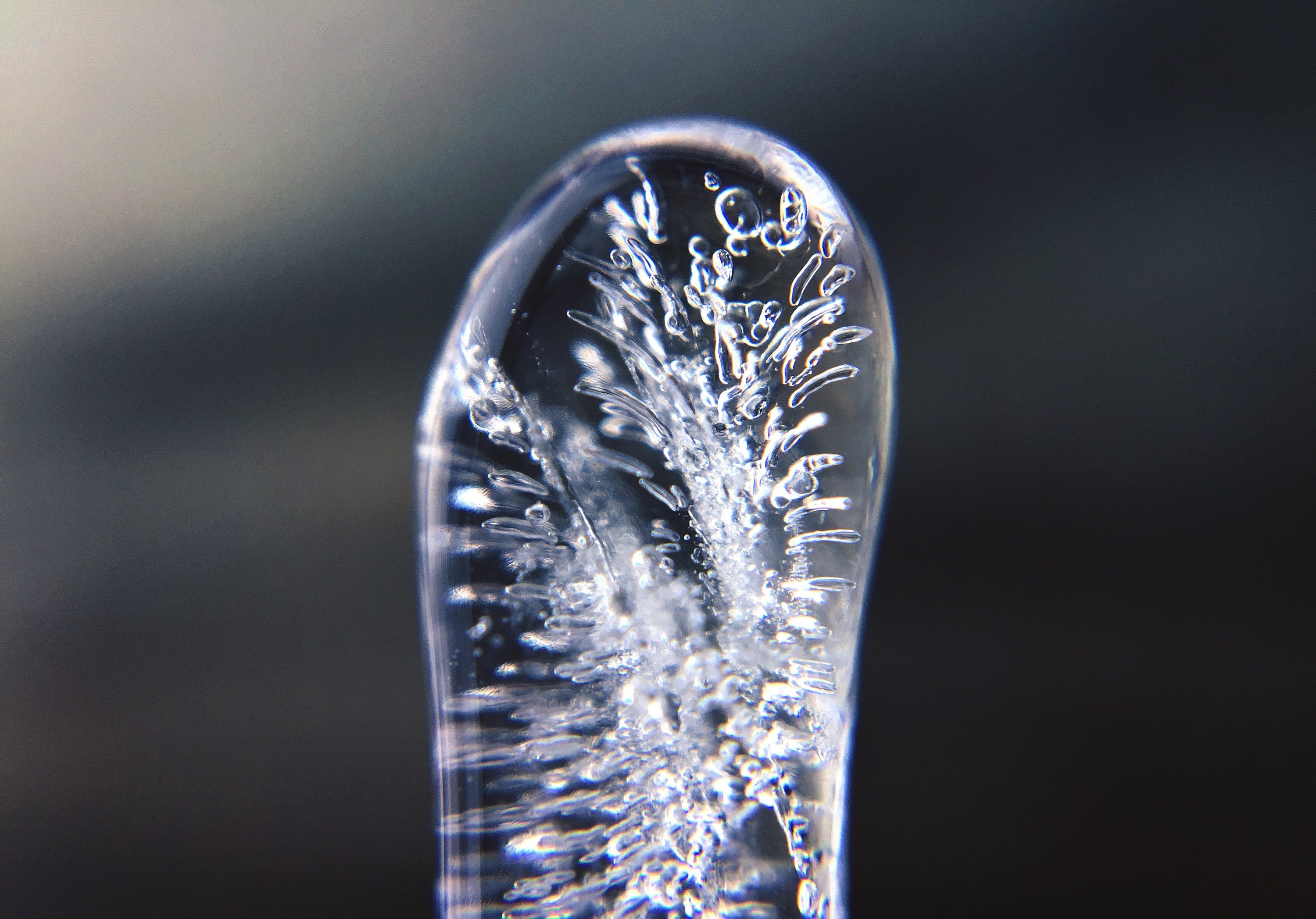 Nature's Tear Nature Wall Art Landscape Photography Prints Macro ...
