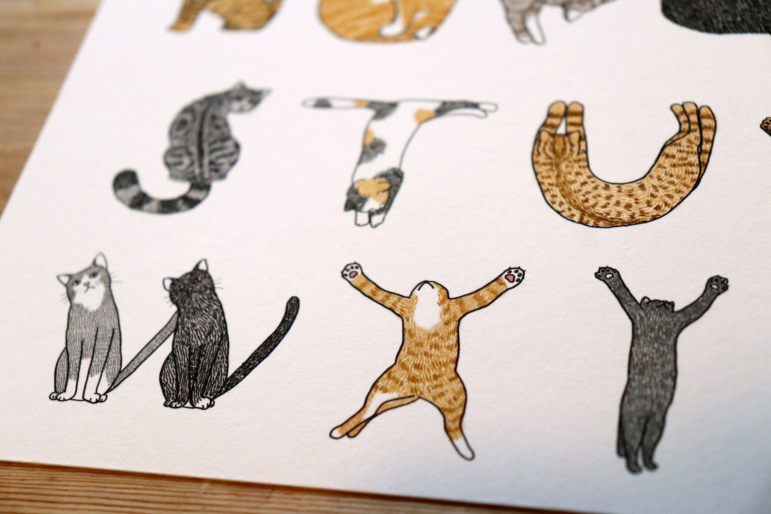 Cat Alphabet Giclée Fine Art Print A4 Size - Etsy UK