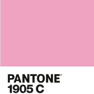 Pantone 1905c Maglia Rosa Art Print Inspired by Cycling - Etsy