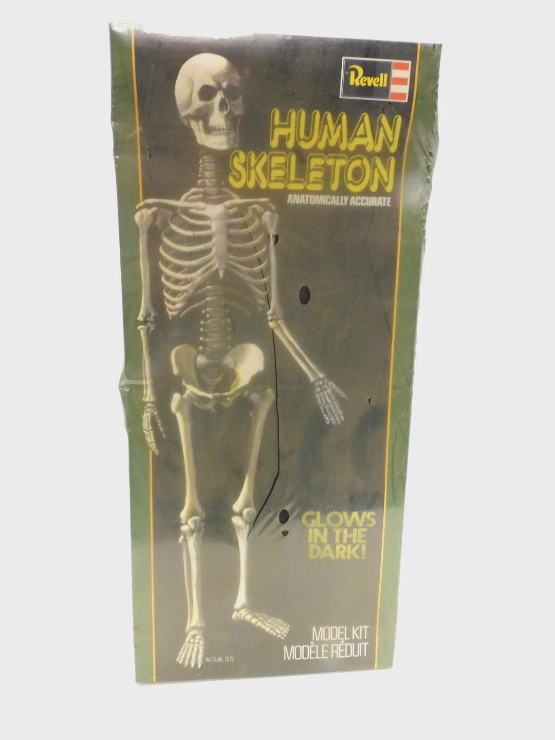 Human Skeleton Model Kit #903 Glows in the Dark N.O.S Factory Sealed ...