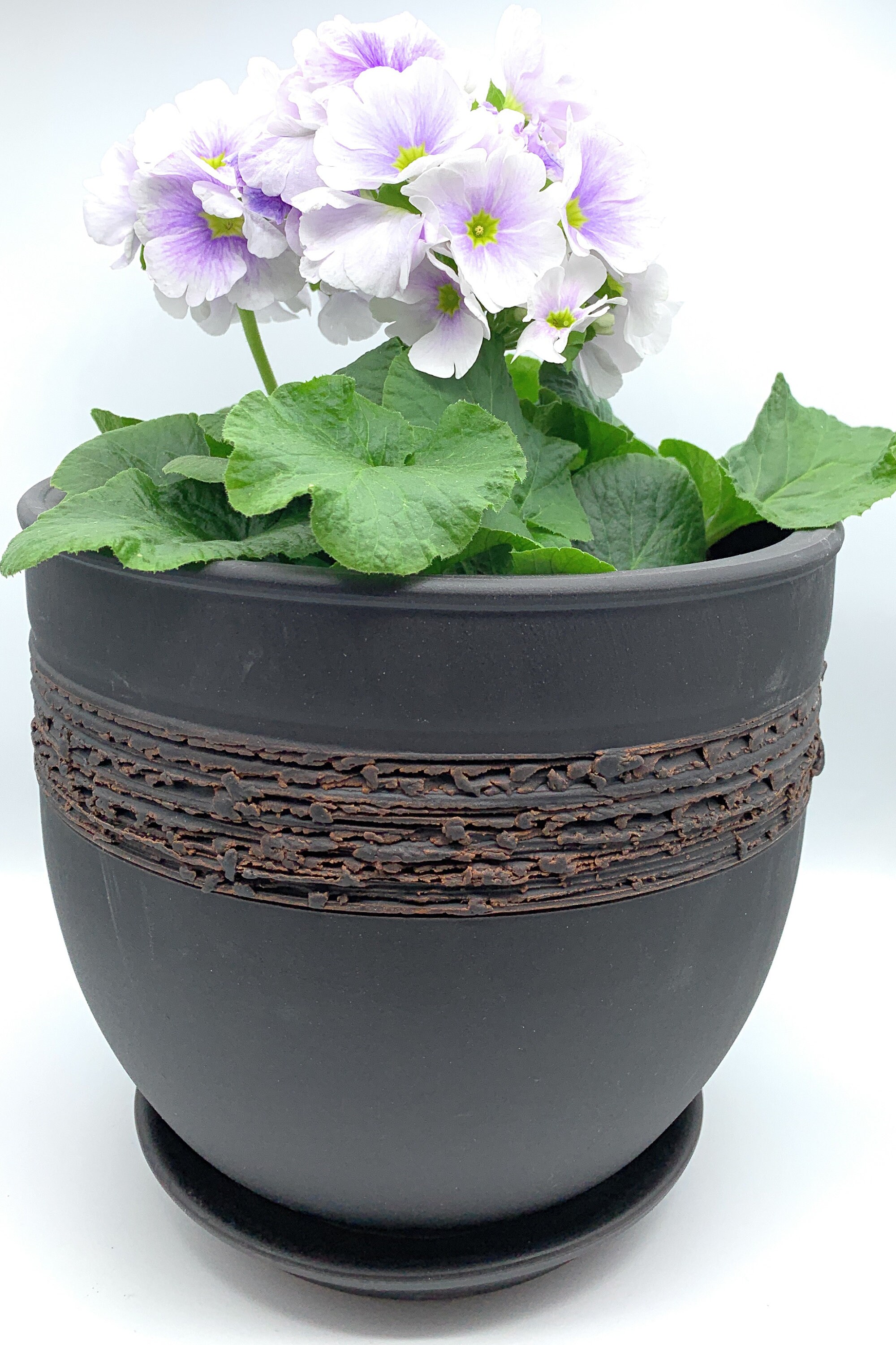Glazed Ceramic Flower Pot With Saucer Round Terracotta With Drip Tray ...