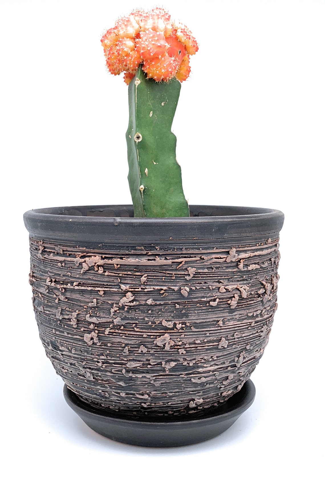 Glazed Ceramic Flower Pot With Saucer Round Terracotta With Drip Tray ...