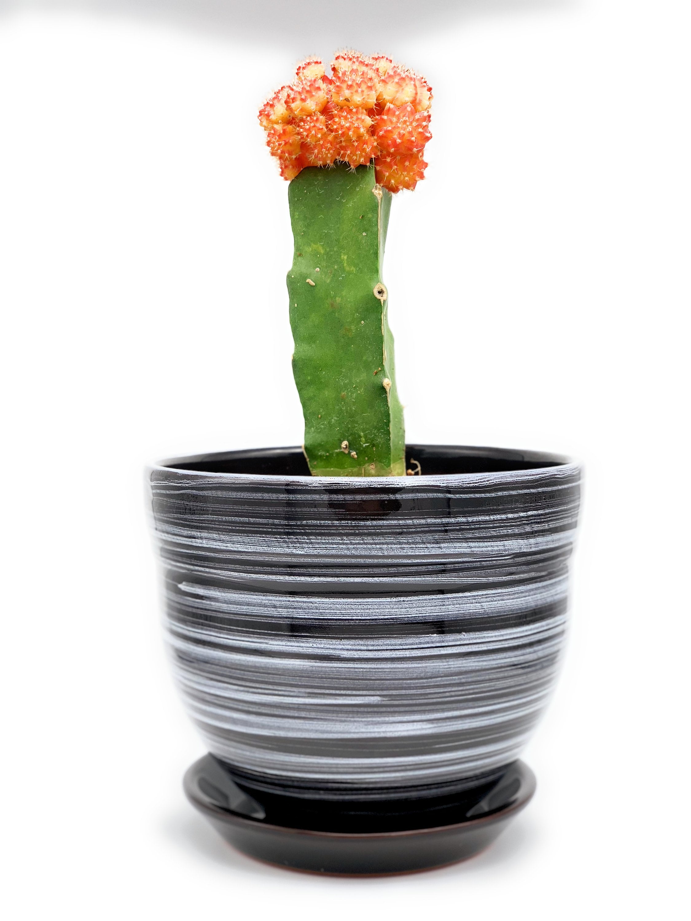 Glazed Ceramic Flower Pot With Saucer Round Terracotta With Drip Tray ...