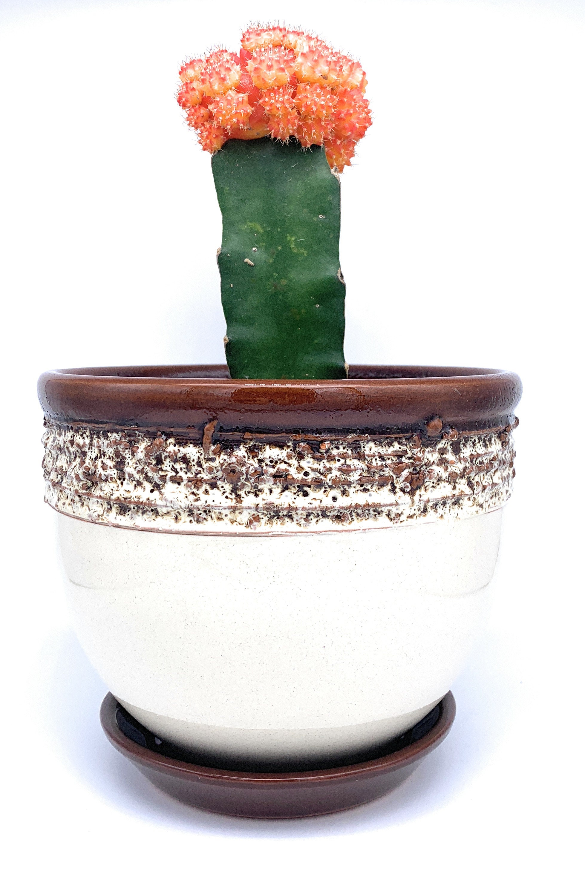 Glazed Ceramic Flower Pot With Saucer Round Terracotta With - Etsy UK