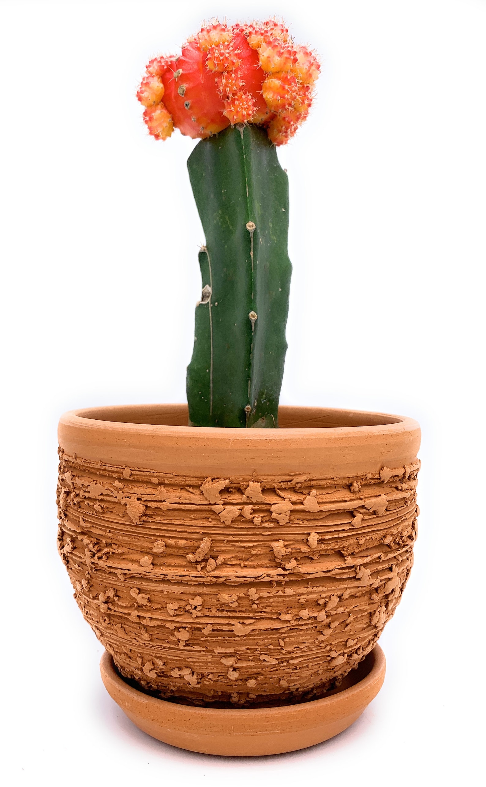 Ceramic Plant Pot With Saucer Flower Pot and Drip Tray Succulent Cactus ...