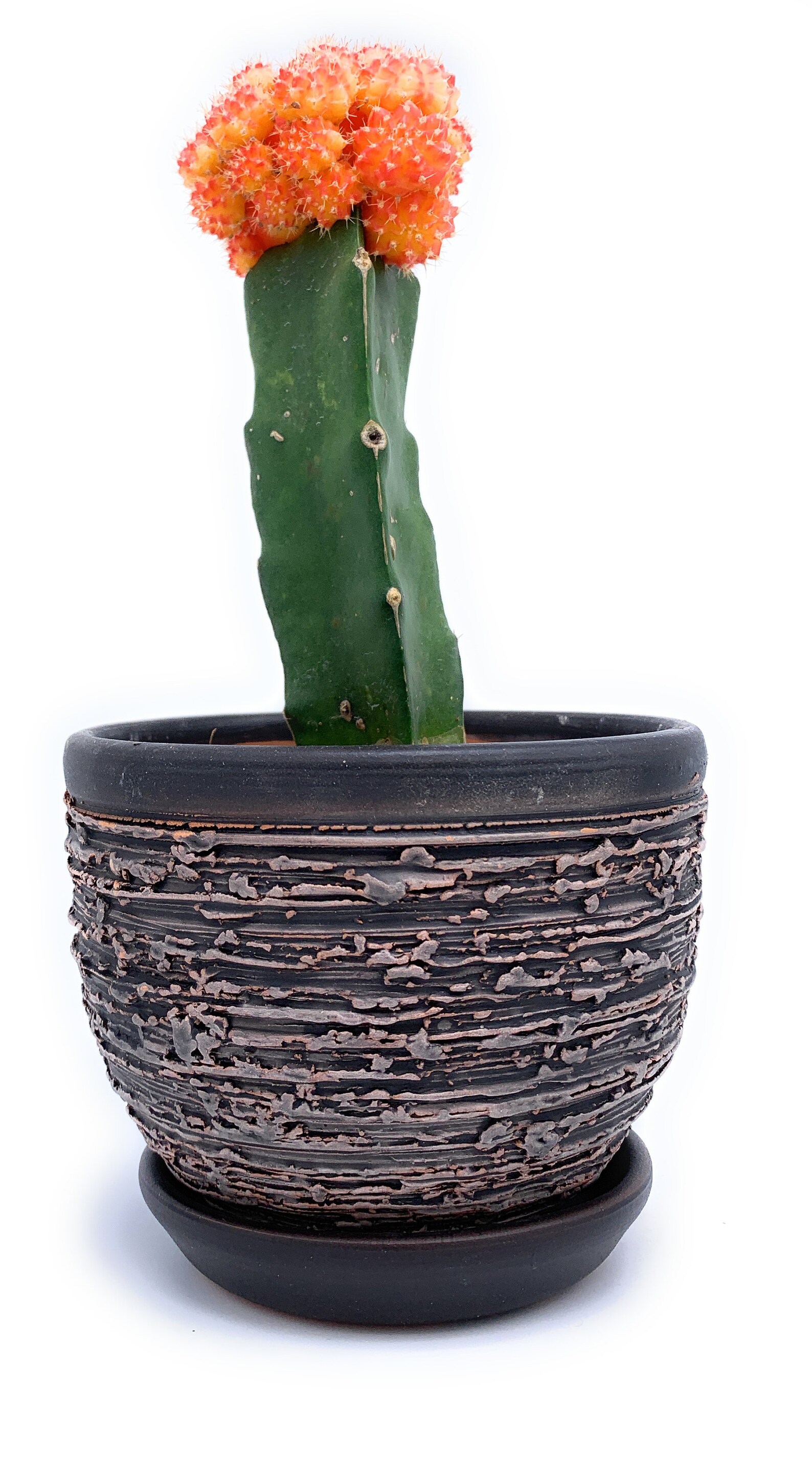 Glazed Ceramic Flower Pot With Saucer Round Terracotta With Drip Tray ...