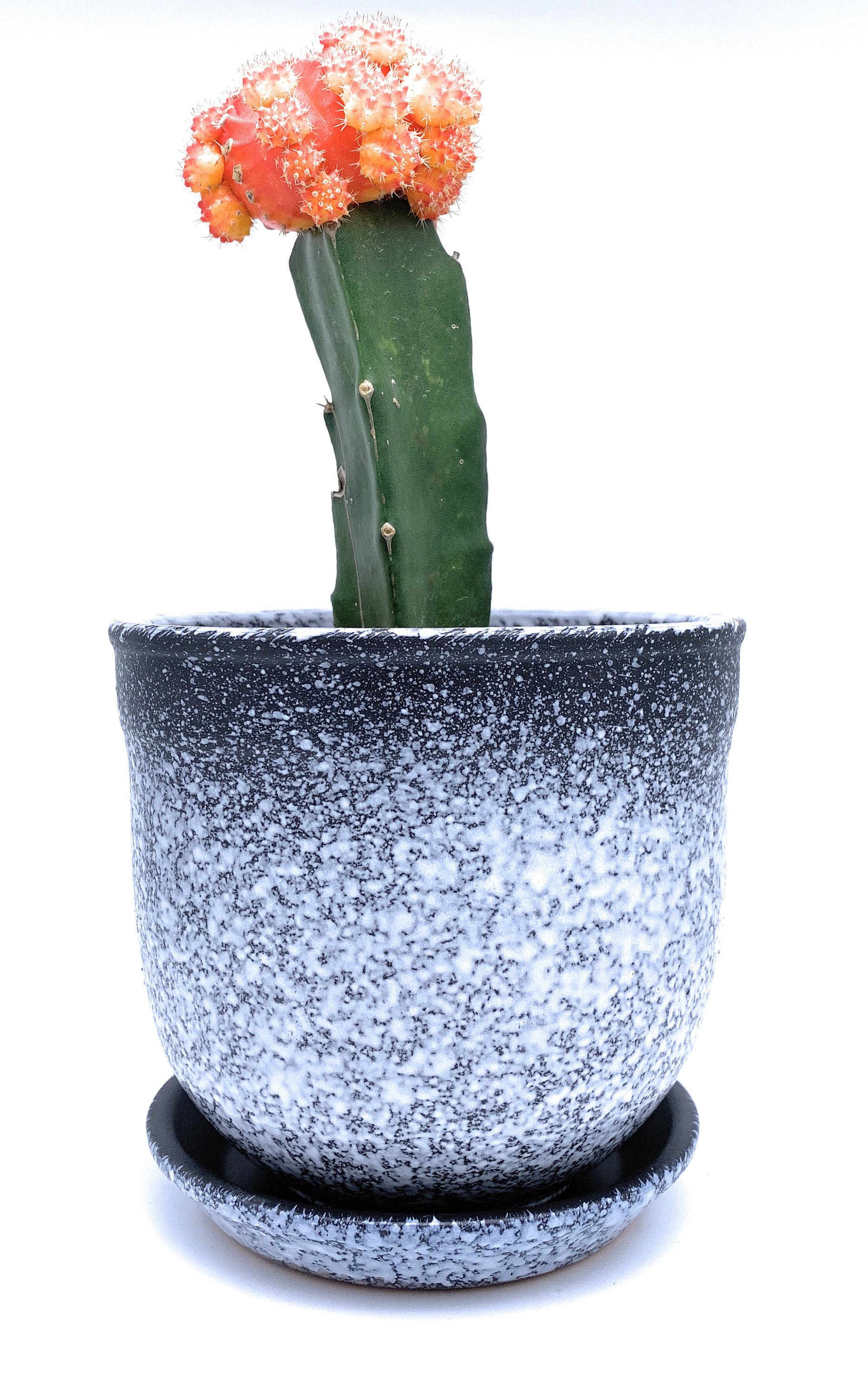 Glazed Ceramic Flower Pot With Saucer Round Terracotta With Drip Tray ...