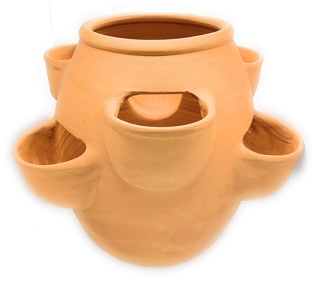 Large Ceramic Plant Pot Strawberry Terracotta Planter Clay Flower Pot ...