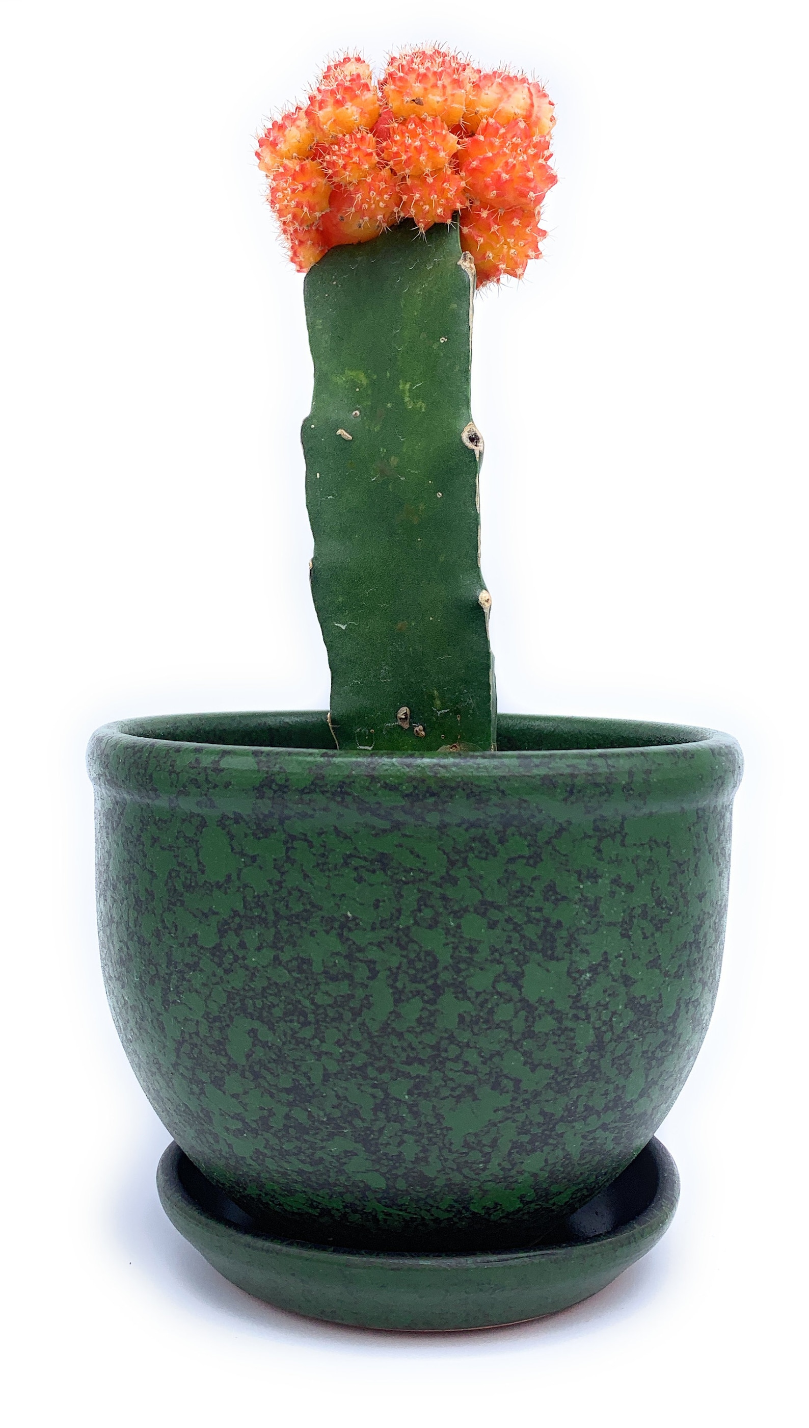 Glazed Ceramic Flower Pot With Saucer Round Terracotta With Drip Tray ...