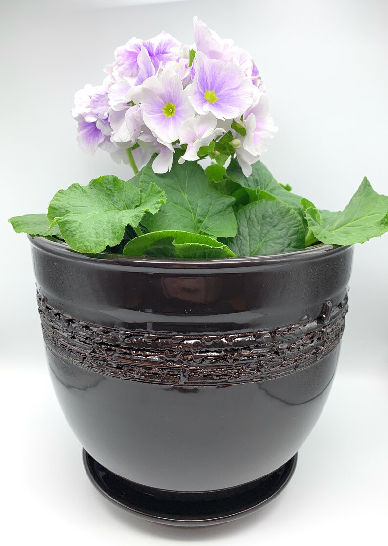 Glazed Ceramic Flower Pot With Saucer Round Terracotta With Drip Tray ...