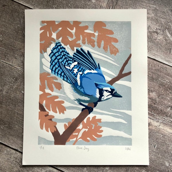 Blue Jay Print - Etsy UK