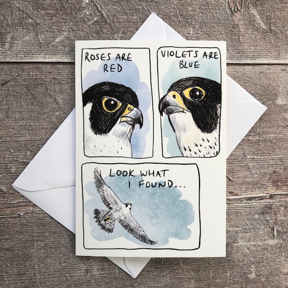 Peregrine Falcon Valentines Day Card Humorous for Bird | Etsy